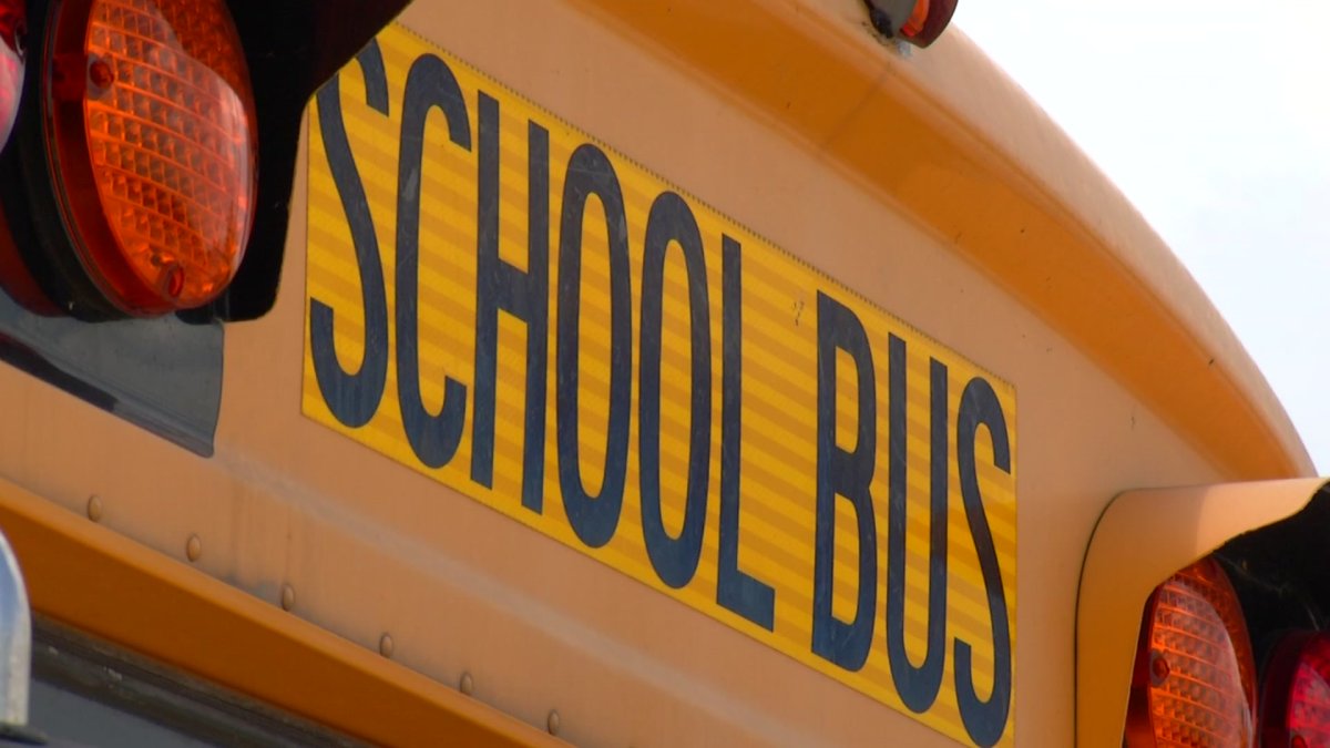 Escasez de conductores en Irving ISD – Telemundo Dallas (39)