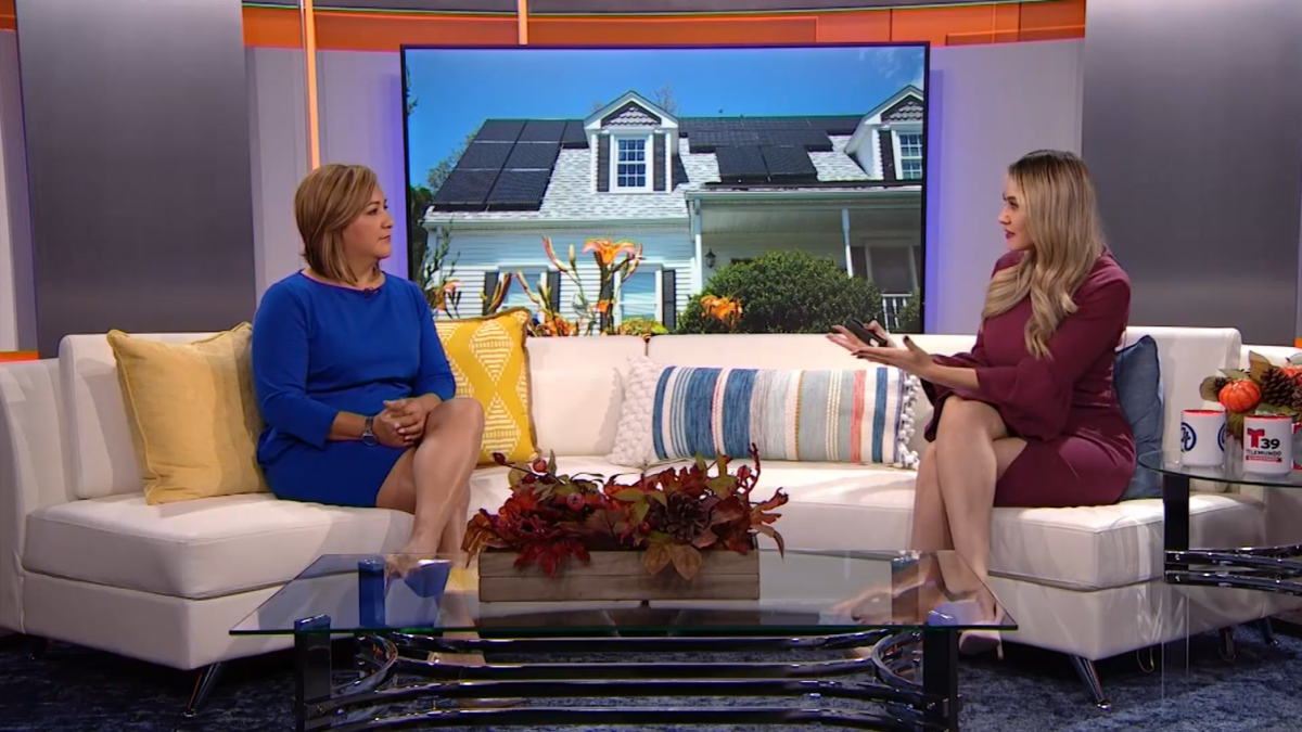 Acceso Total a los reportajes especiales sobre los paneles solares de ...