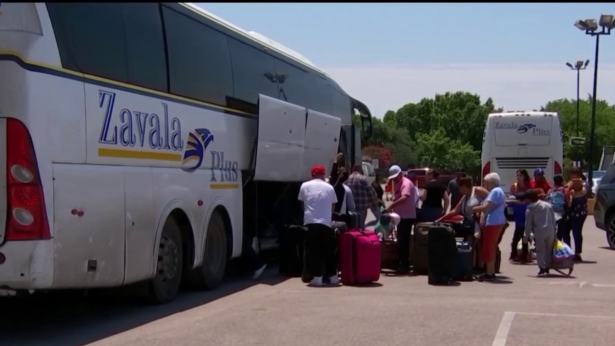 Autobuses “Zavala Plus” tiene varias violaciones, según autoridades ...