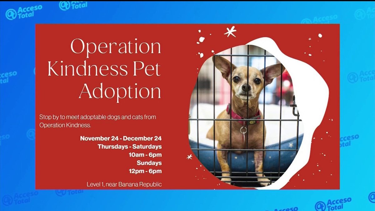 Celebrando a los héroes de mascotas: Operation Kindness – Telemundo ...