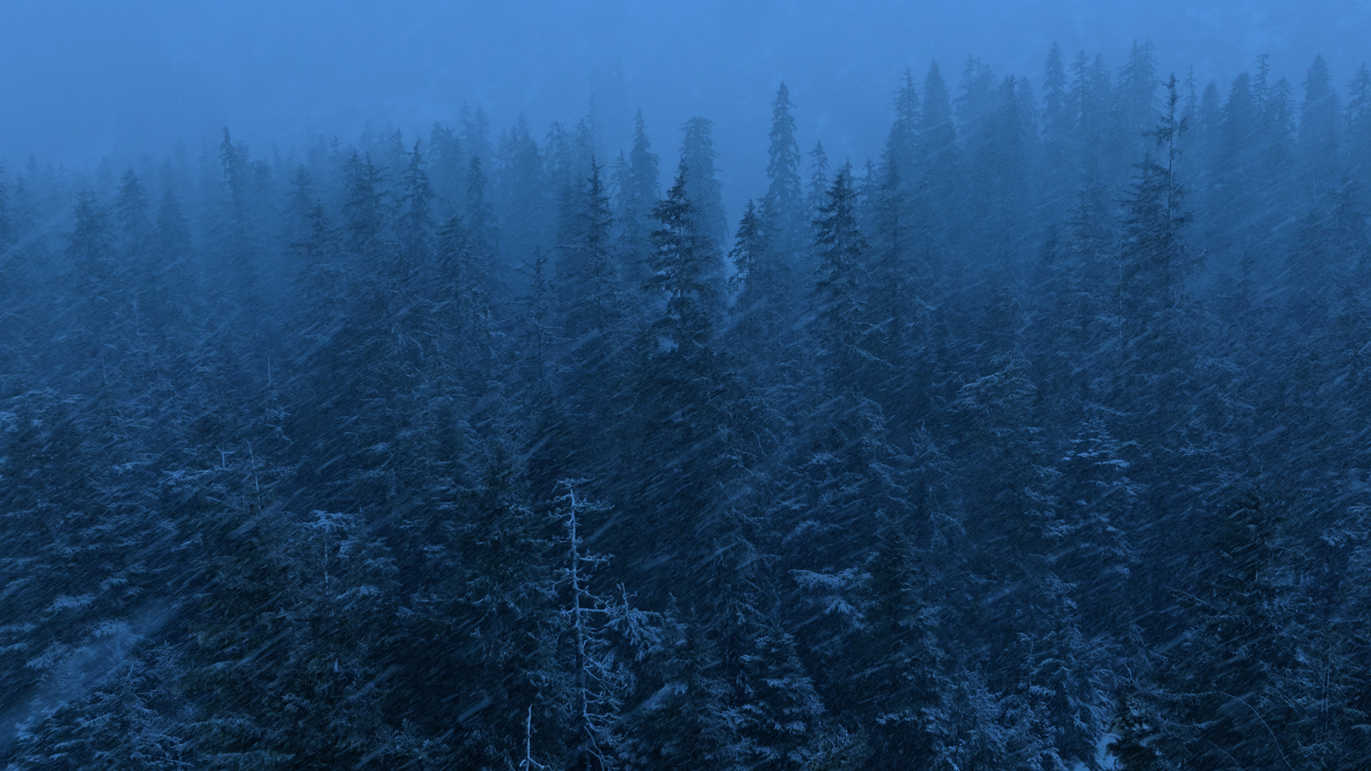 Cambio climático: ¿por qué las olas de calor van en aumento ...