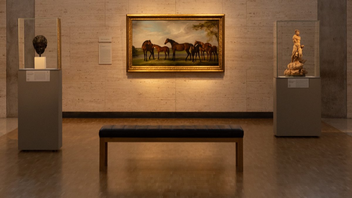 Fort Worth: el Kimbell Art Museum presenta nueva adquisión – Telemundo ...