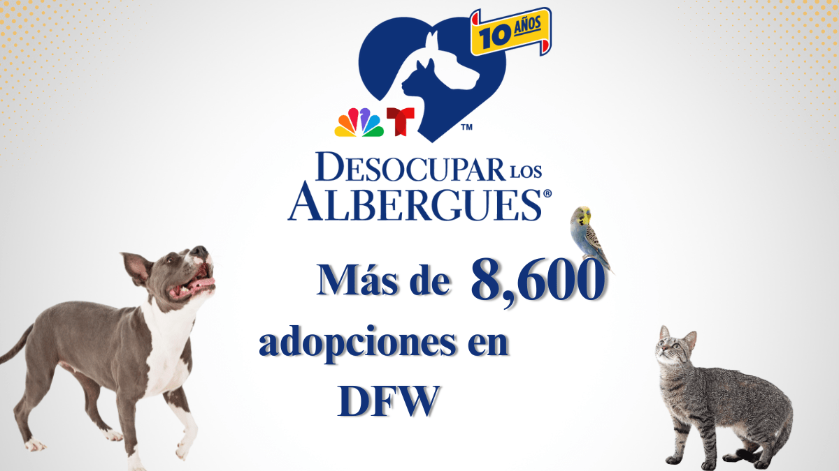 Desocupar los Albergues ayuda a más de 8600 animales de DFW a encontrar ...