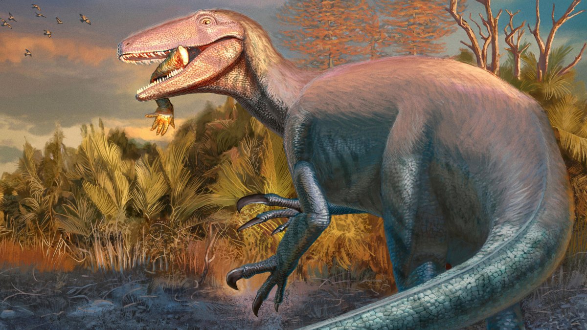 Hallan dinosaurio en Argentina con un hueso de cocodrilo – Telemundo ...