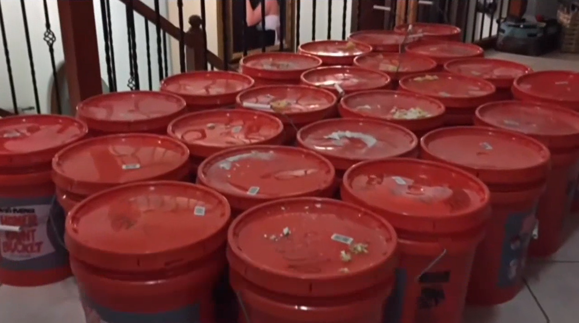 "The Rip" se inspira por este operativo en el sur de Florida ...